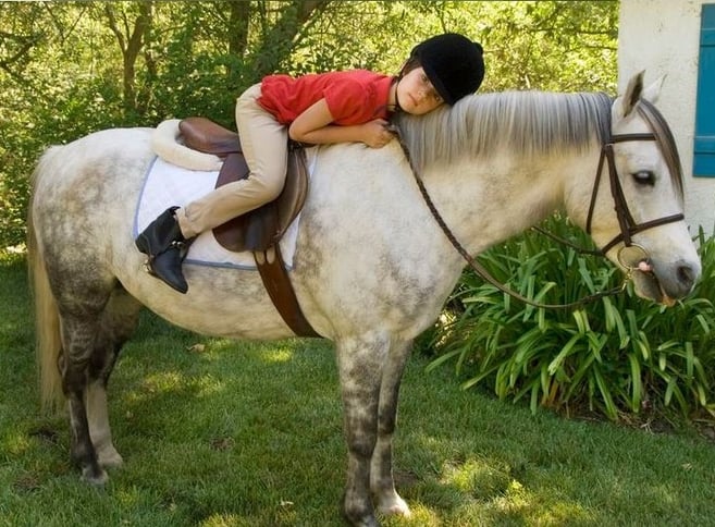 Introducing Your Child To Horses