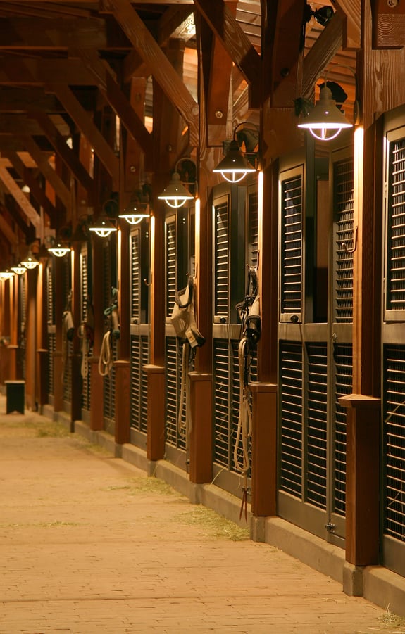 ADDING LIGHT TO YOUR BARN || THE CLASSIC WAY.
